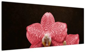 Růžová orchidej - obraz (100x40cm)