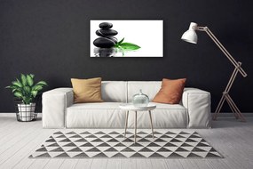 Obraz na plátně Kameny Listy Voda Umění 120x60 cm