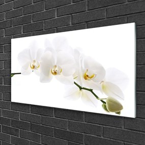 Obraz na skle Květíny Rostlina 125x50 cm
