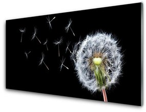 Plexisklo-obraz Pampelišky Květiny Příroda 100x50 cm