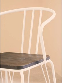Bílá/v přírodní barvě jídelní židle z jilmového dřeva District – Premier Housewares