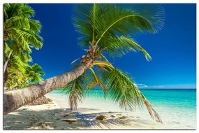 Obraz na plátně - Pláž s palmami 184A (120x80 cm)