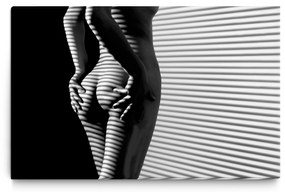 Malvis ® Obraz Nahá žena Velikost (šířka x výška): obdélník - 150x100 cm
