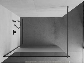 Mexen Kioto, sprchová zástěna Walk-In 110 x 200 cm, 8mm čiré sklo-námraza, grafitový profil, 800-110-101-66-35