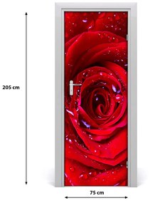 Samolepící fototapeta na dveře Červená růže 75x205 cm