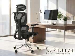 Ergonomická kancelářská židle FORCE - černá síťovina