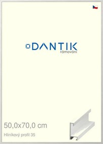 DANTIK rámeček 50x70 | ALU profil 6035 Dýha bílá (Plexi Čiré)