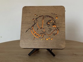 Li-Go "Boxer" lampa 19x19 cm provedení povrchu: dub