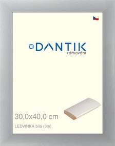 DANTIK rámeček 30x40 | LEDVINKA bílá (Plexi Čiré)