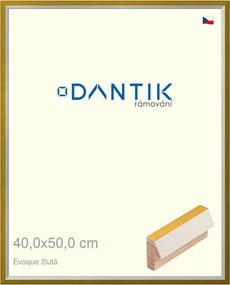 DANTIK rámeček 40x50 | EVOQUE žlutá (Sklo Čiré)