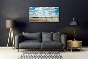 Obraz na skle Poušť Krajina 120x60 cm