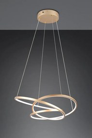 LED stmívatelné závěsné svítidlo ve zlaté barvě Darvin – Trio