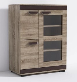 Obývací stěna Kombi P2, canyon / wenge
