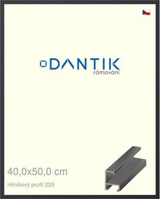 DANTIK rámeček 40x50 | ALU profil 6220 Černá matná (Sklo Čiré)