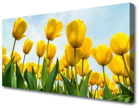 Obraz na plátně Tulipány Květiny Rostlina 140x70 cm