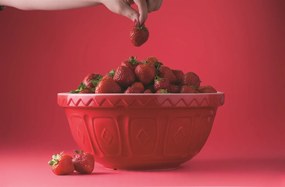 Mason Cash Kameninová mísa na těsto Red 2 l, červená barva, keramika