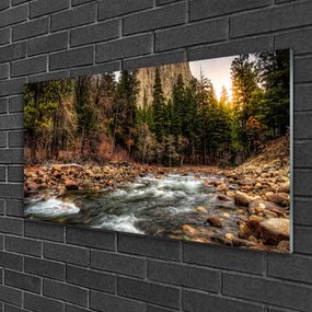 Obraz na skle Les Jezero Příroda 125x50 cm