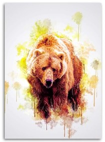 Gario Obraz na plátně Medvěd - Cornel Vlad Rozměry: 40 x 60 cm