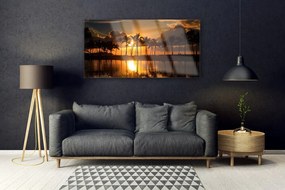 akrylový obraz Stromy Slunce Krajina 120x60 cm
