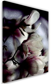 Gario Obraz na plátně Detailní záběr květů magnólie - Dmitry Belov Rozměry: 40 x 60 cm