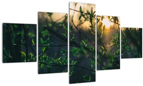 Obraz prosvítajícího slunce skrz větvičky stromů (125x70 cm)