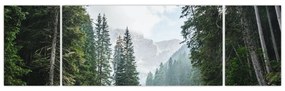 Obraz lesního jezera (170x50 cm)