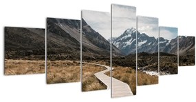 Obraz - Chodník v údolí hory Mt. Cook (210x100 cm)