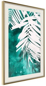 Artgeist Plakát bílá palma Velikosti (šířkaxvýška): 40x60, Finální vzhled: Zlatý rám s paspartou