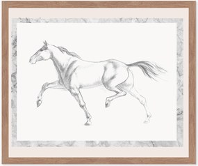 Zarámovaný digitální tisk Single Horse, v různých velikostech
