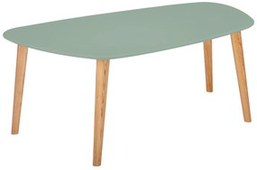 OnaDnes -20% Zelený lakovaný konferenční stolek RAGABA ENDOCARP 110 x 66 cm
