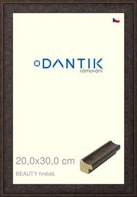 DANTIK rámeček 20x30 | BEAUTY hnědá (Sklo Čiré)