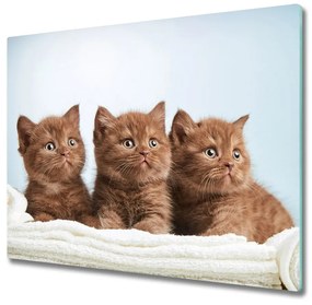 Skleněná krájecí deska Kočky na ručníku