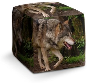 Sablio Taburet Cube Vlk: 40x40x40 cm