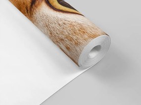 Liox Tapeta kočka vykukující z papíru