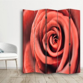 Ozdobný paraván, Květ růže v makroměřítku - 180x170 cm, pětidílný, obustranný paraván 360°