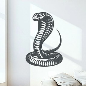 dřevo života Dřevěný obraz Kobra Zvolte rozměr (cm): 29x40, Zvolte barvu dekoru: Antracitová