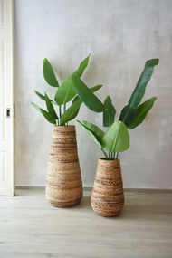 Pokojový květináč ROTA, vodní hyacint, průměr 46 cm, natur