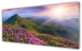 akrylový obraz Hory Louka Květiny Krajina 125x50 cm
