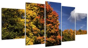Podzimní stromy - moderní obraz