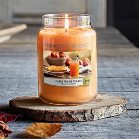 Yankee Candle vonná svíčka Classic ve skle velká Farm Fresh Peach  623 g