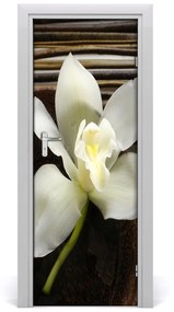 Fototapeta na dveře Orchidej 85x205 cm