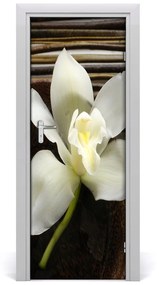 Fototapeta na dveře Orchidej 95x205 cm