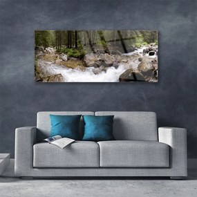 Plexisklo-obraz Les Řeka Vodopády 125x50 cm