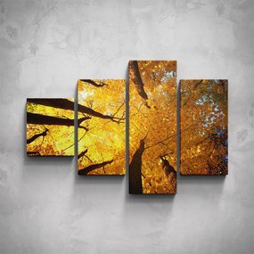 4-dílný obraz - Podzimní koruny stromů - PopyDesign