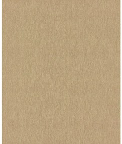 Vliesová tapeta jednobarevná hnědo-zlatá 608618 / Tapety na zeď Sky Lounge (0,53 x 10,05 m) Rasch