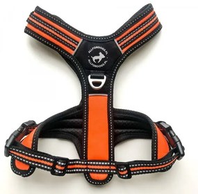 Postroj 3x-Sport Orange M