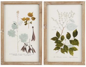 IB LAURSEN Obraz v rámu Plant Motifs 25 x 38 cm A, béžová barva, přírodní barva, sklo, dřevo, papír