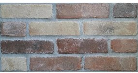 Nástěnný obklad mrazuvzdorný Brick mix 31/62