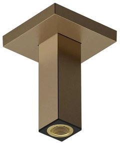 Hansgrohe Příslušenství - Sprchové rameno stropní, 11 cm, kartáčovaný bronz 24338140