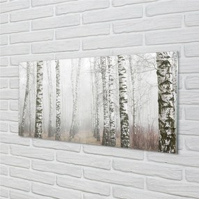 Obraz na skle mlha bříza 125x50 cm